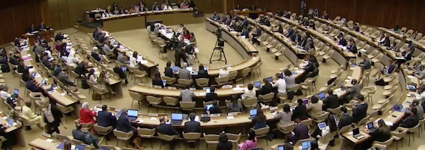 CGFNS Contributes Expertise at the World Health Assembly 2019 - CGFNS ...